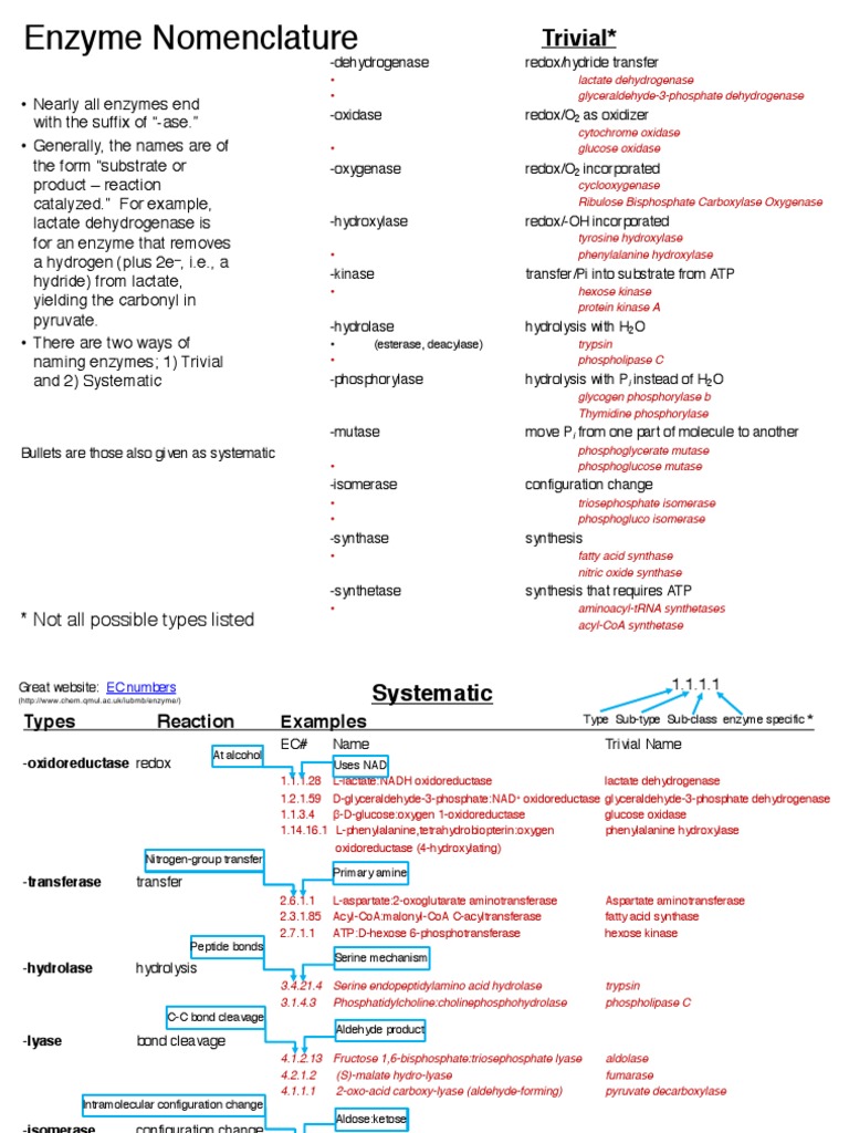 Enzyme Nomenclature | PDF | Enzyme | Redox