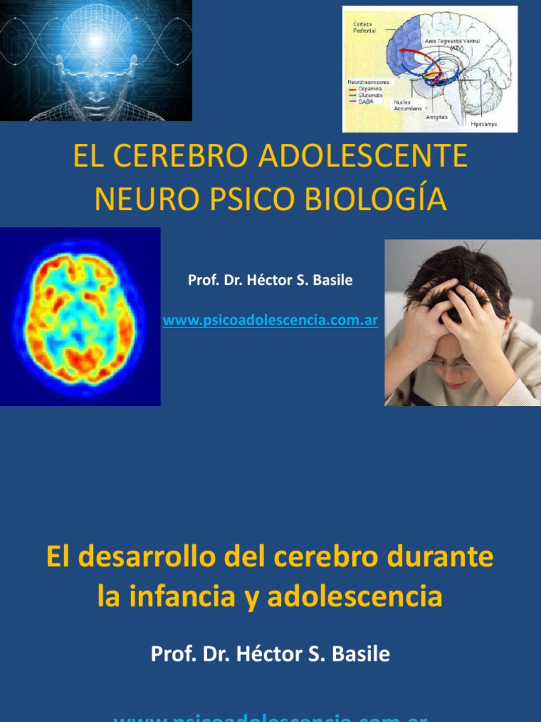 Desarrollo Del Cerebro Adolescente Pdf Cerebro Neurona