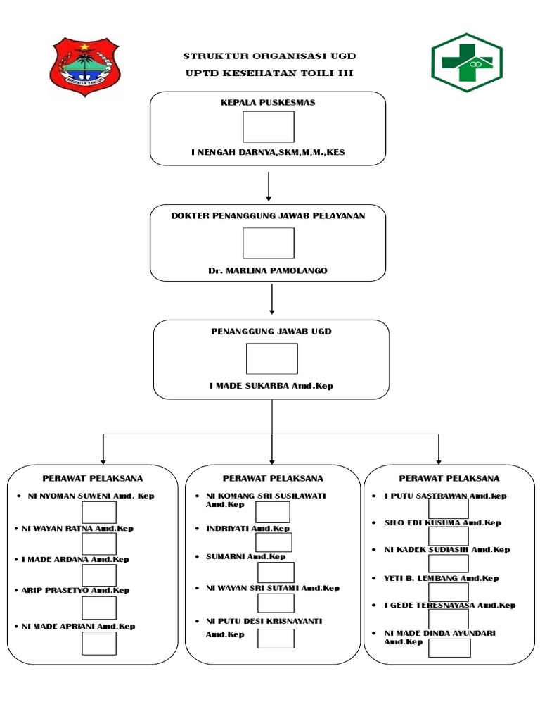 Struktur Organisasi Ugd | PDF