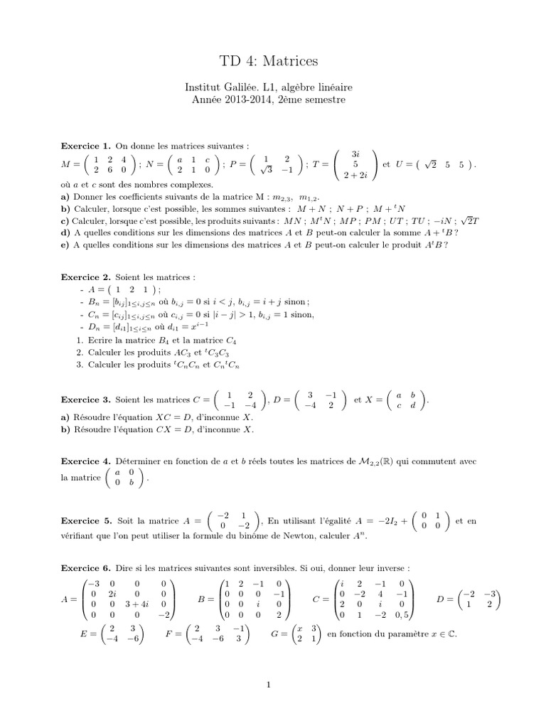 TD Matrices | PDF | Théorie des opérateurs | Matrice (Mathématiques)