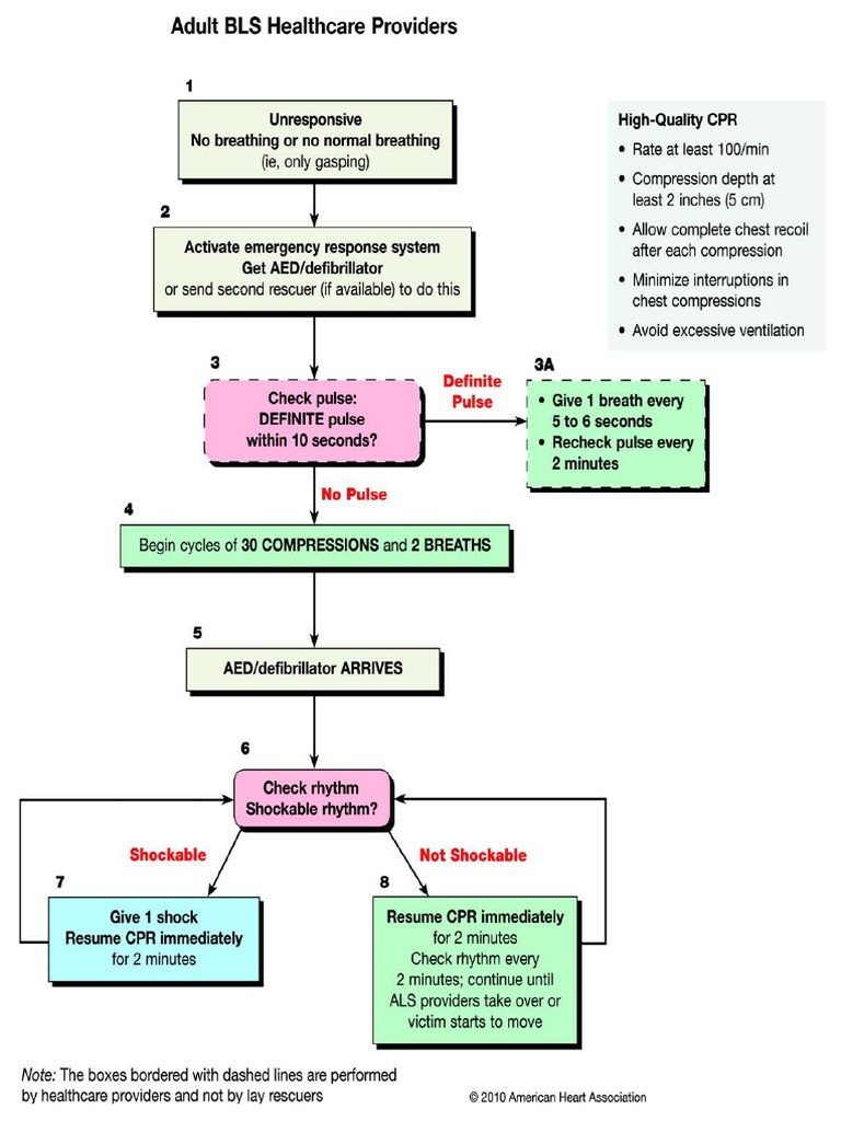 Adult BLS Health Care Providers | PDF