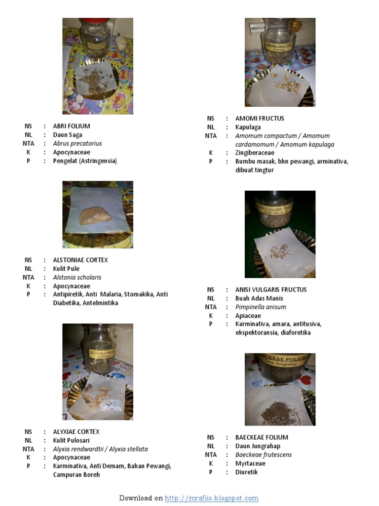 Simplisia Lab. Farmakognosi | PDF