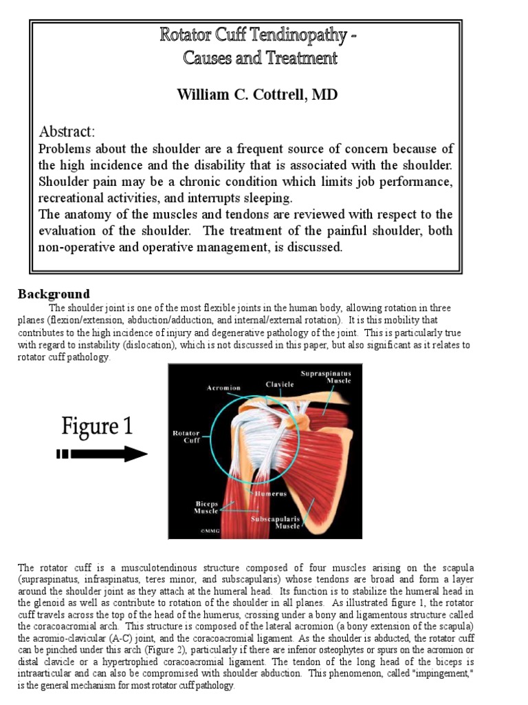 William C. Cottrell, MD Abstract | PDF | Shoulder | Dance Science