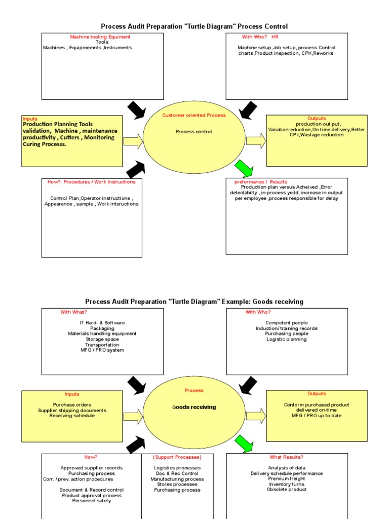 Turtle Diagrams - IATF - 16949 - 2016 | PDF | Audit | Logistics