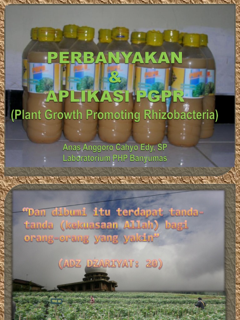 PGPR | PDF | Teknologi & Rekayasa