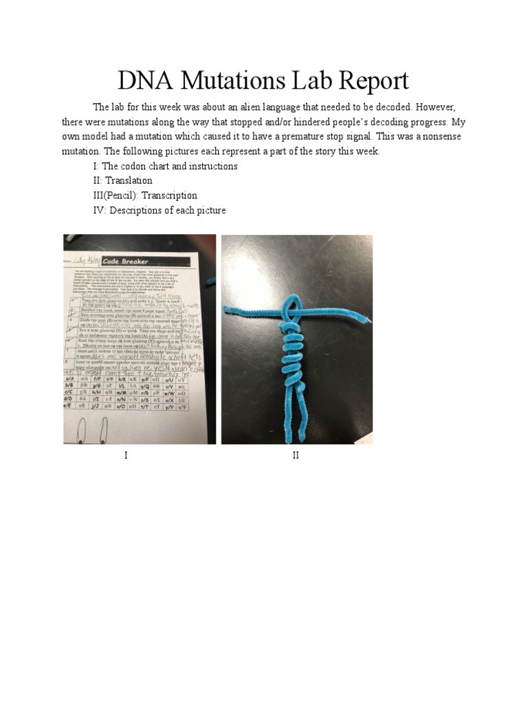 Dna Mutations Lab Report 1 | PDF