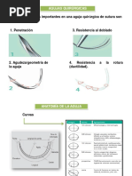 Perímetro Torácico | PDF | Salud y bienestar | Ciencia y matemáticas
