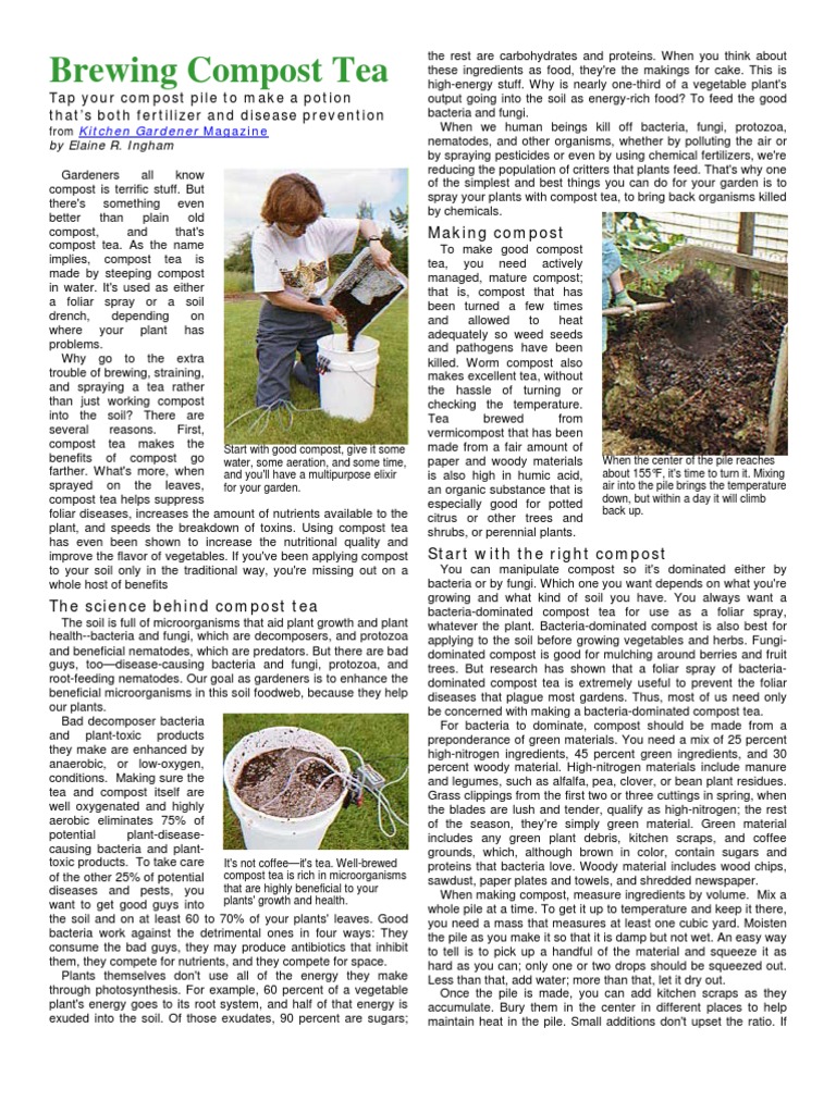 Brewing Compost Tea | PDF