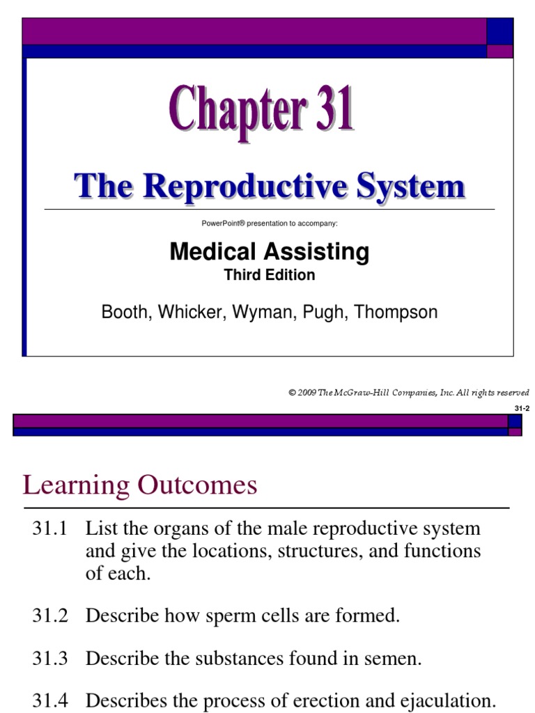 Chapter 31 The Reproductive System | PDF | Birth Control | Prenatal ...