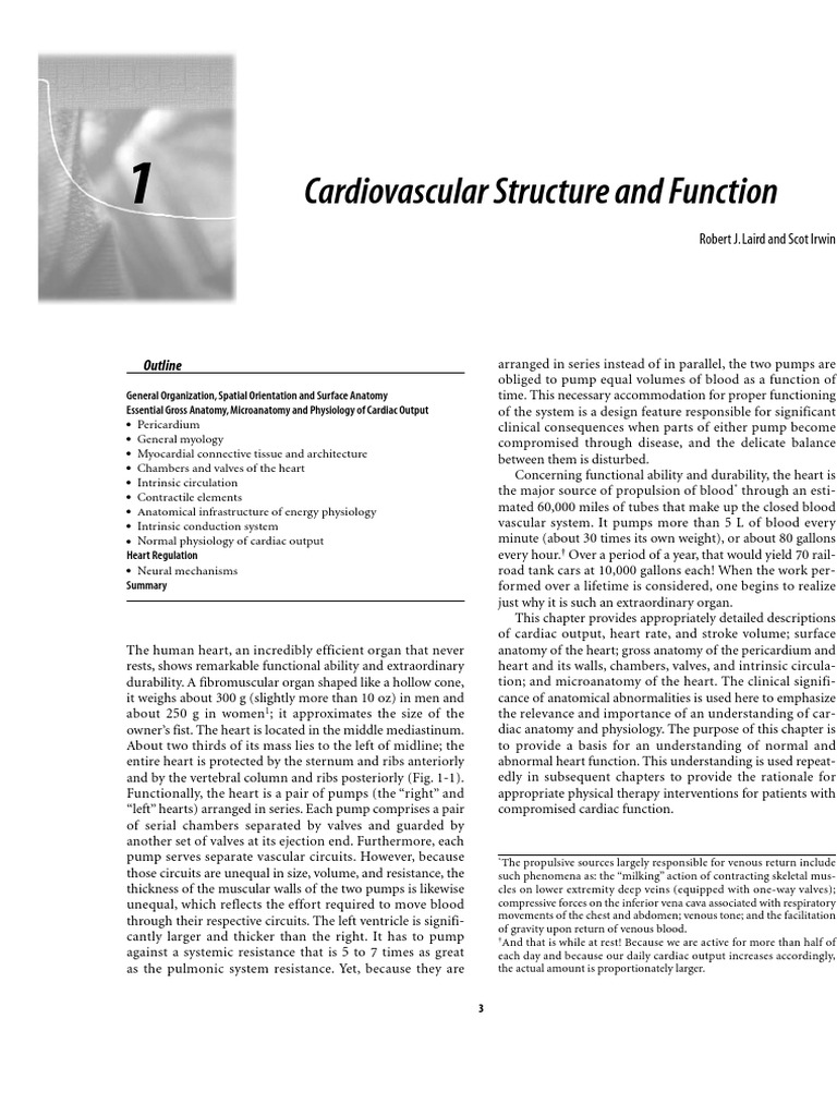 Cardiovascular Structure and Function: Outline | PDF | Vein | Heart
