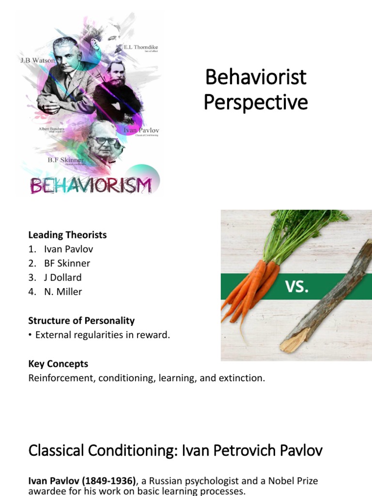 Behaviorist Perspective | PDF | Classical Conditioning | Reinforcement
