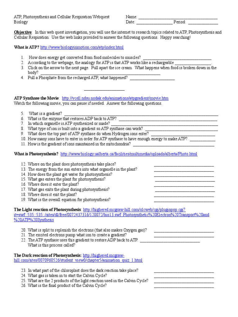 ATP and Energy Processes Webquest | PDF | Cellular Respiration ...