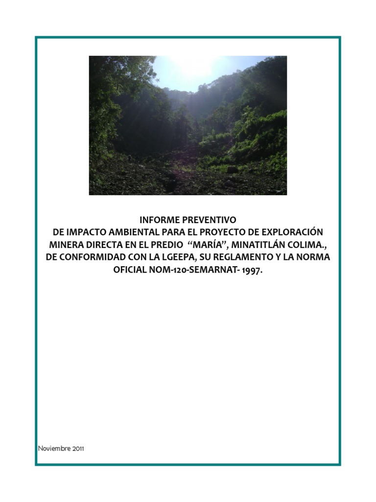 Ejemplo Informe Impacto Ambiental | PDF | Naturaleza