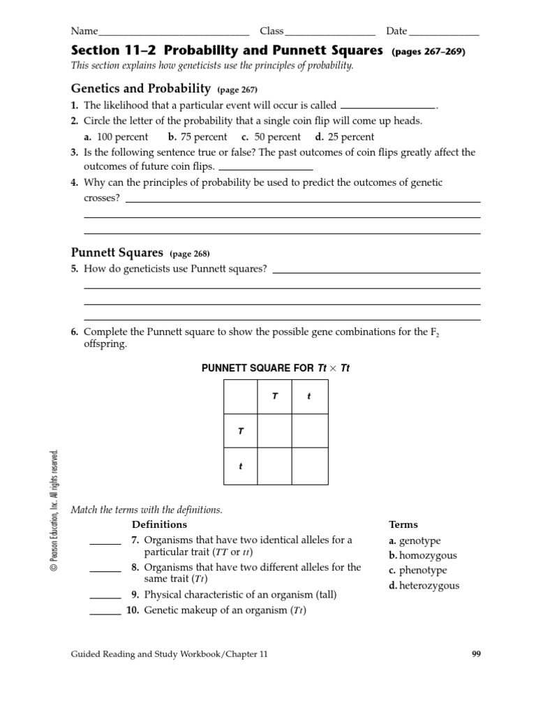 Worksheet Probability and Genetics | PDF | Allele | Genetics