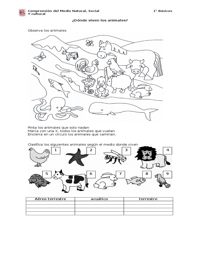 Actividades de Animales para 1° Básico | PDF | Organismos | Naturaleza