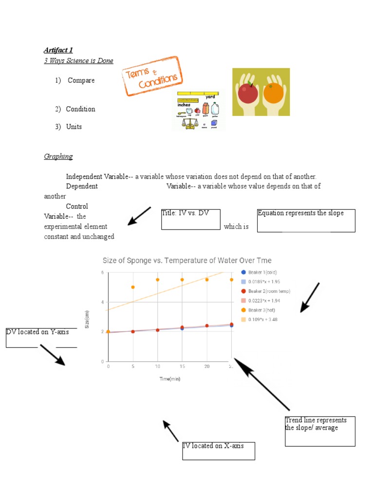 Biology Portfolio A | PDF