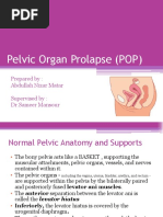 POP-Q System for Prolapse Assessment | PDF | Vagina | Anatomical Terms ...