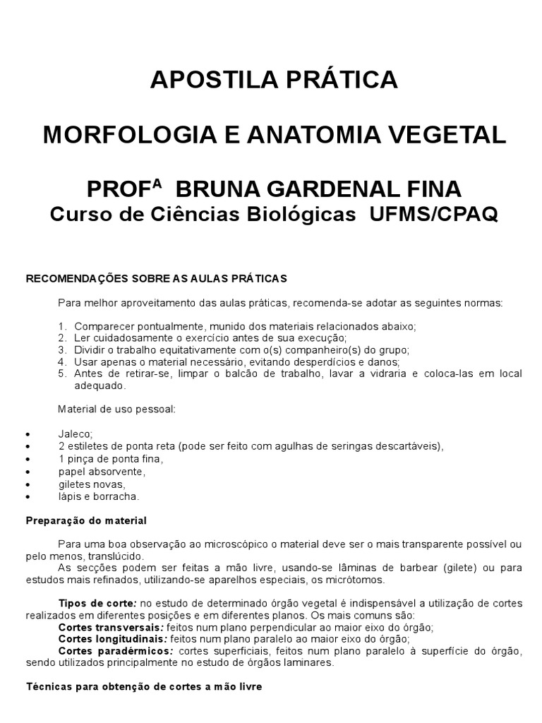 Apostila Anatomia e Morfologia Vegetal - 2011 | PDF | Raiz | Morfologia ...