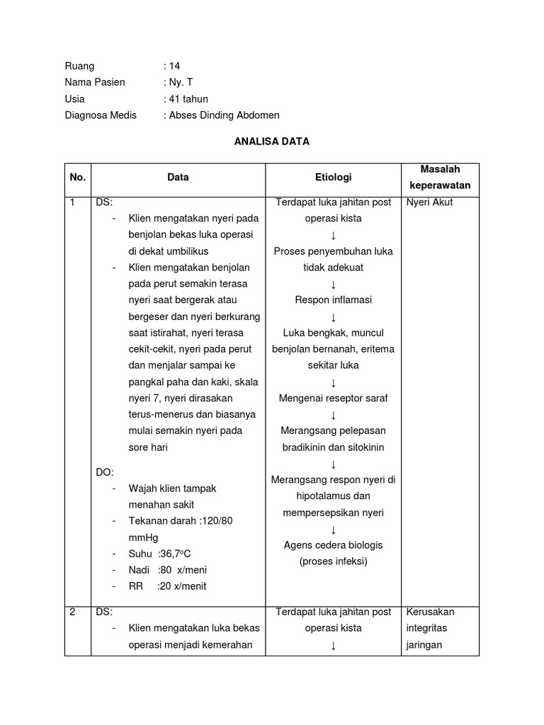 2. Analisa Data Dan Prioritas Diagnosa Keperawatan