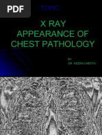 ? CT Scan Terminology Glossary | PDF | Ct Scan | Respiratory Diseases