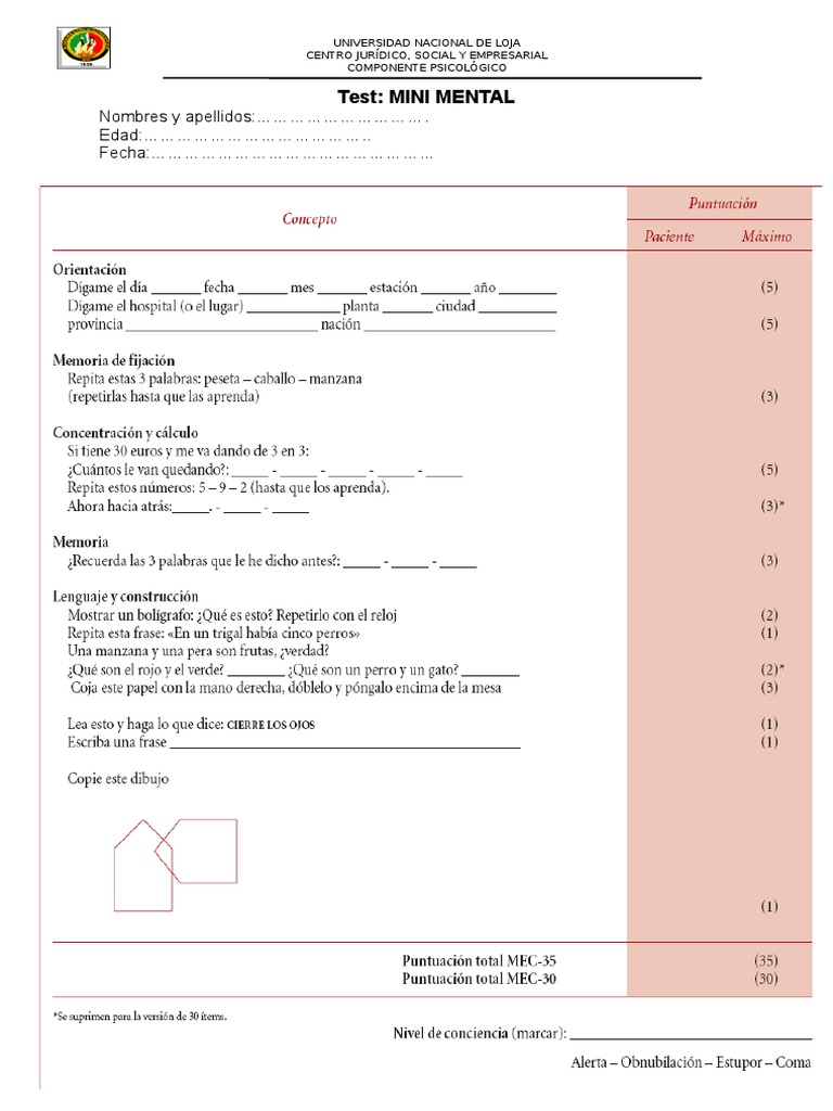 Test Mini Mental | PDF