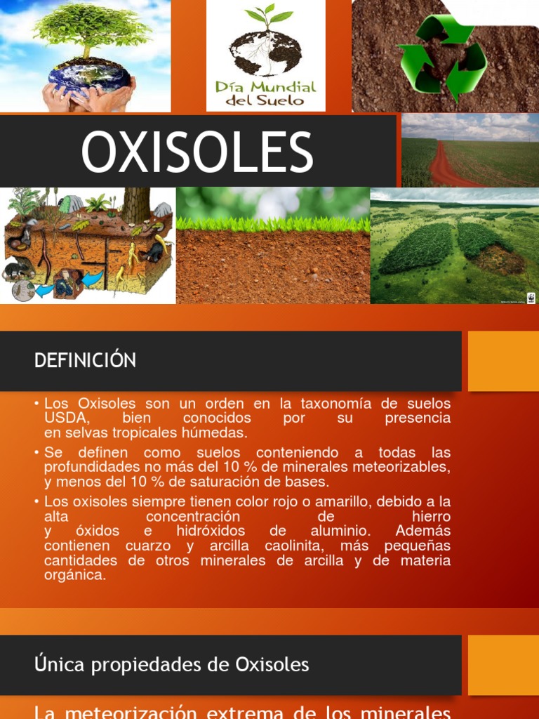 Exposición Oxisoles | PDF | Suelo | Minerales