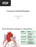 Optimal Coronary Angiography Guide | PDF | Angiography | Ct Scan