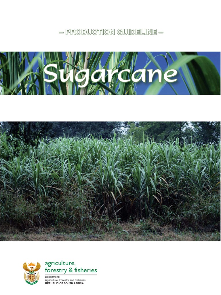 Sugar Cane Prodocution Guideline | PDF | Sugarcane | Plough