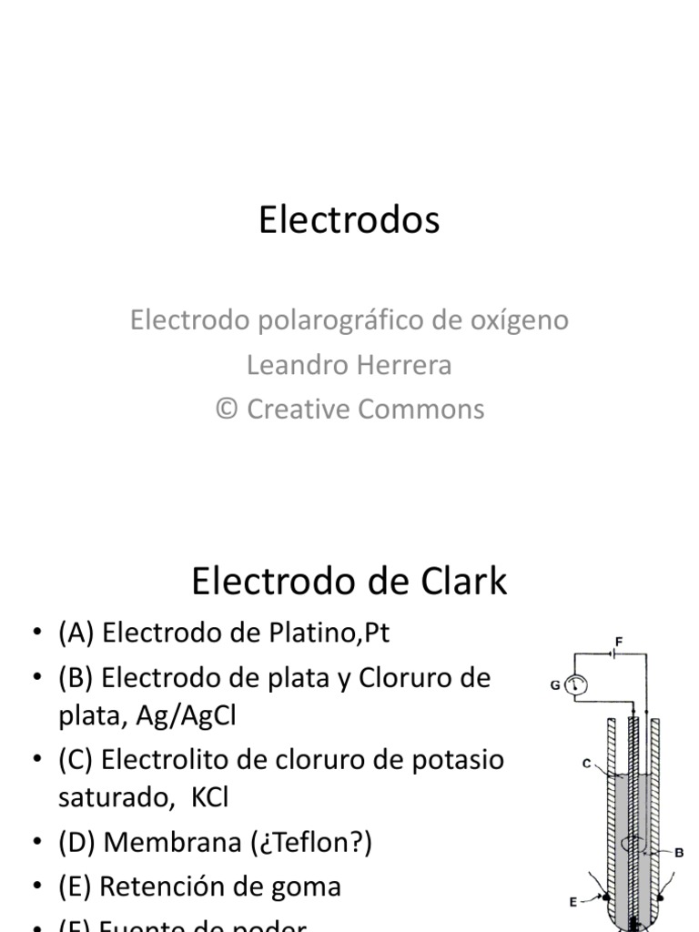 Clark | PDF | Electrodo | Electroquímica