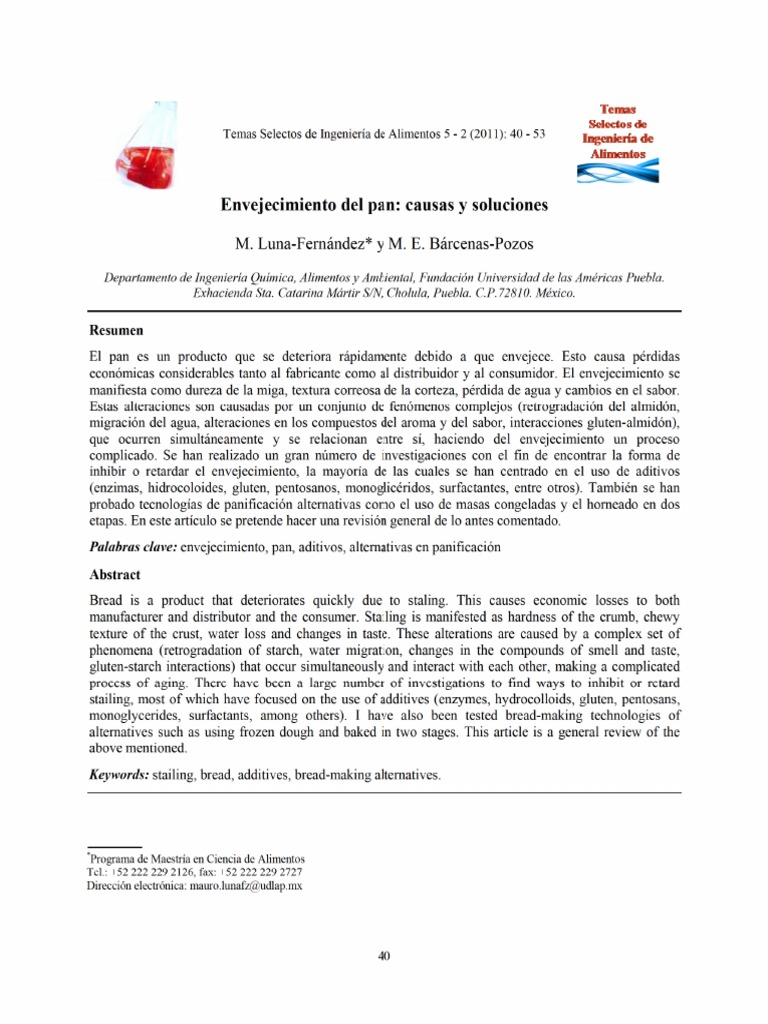 TSIA 5 (2) Luna Fernandez Et Al 2011 PDF | PDF