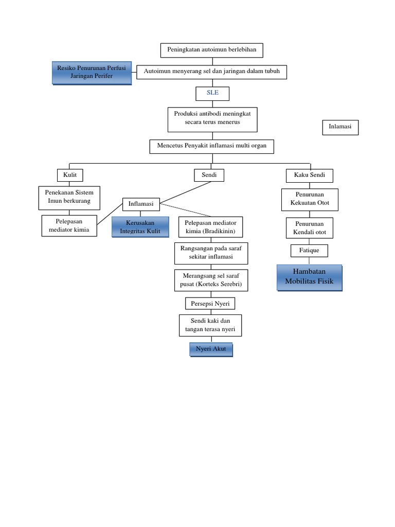 Pathway SLE | PDF