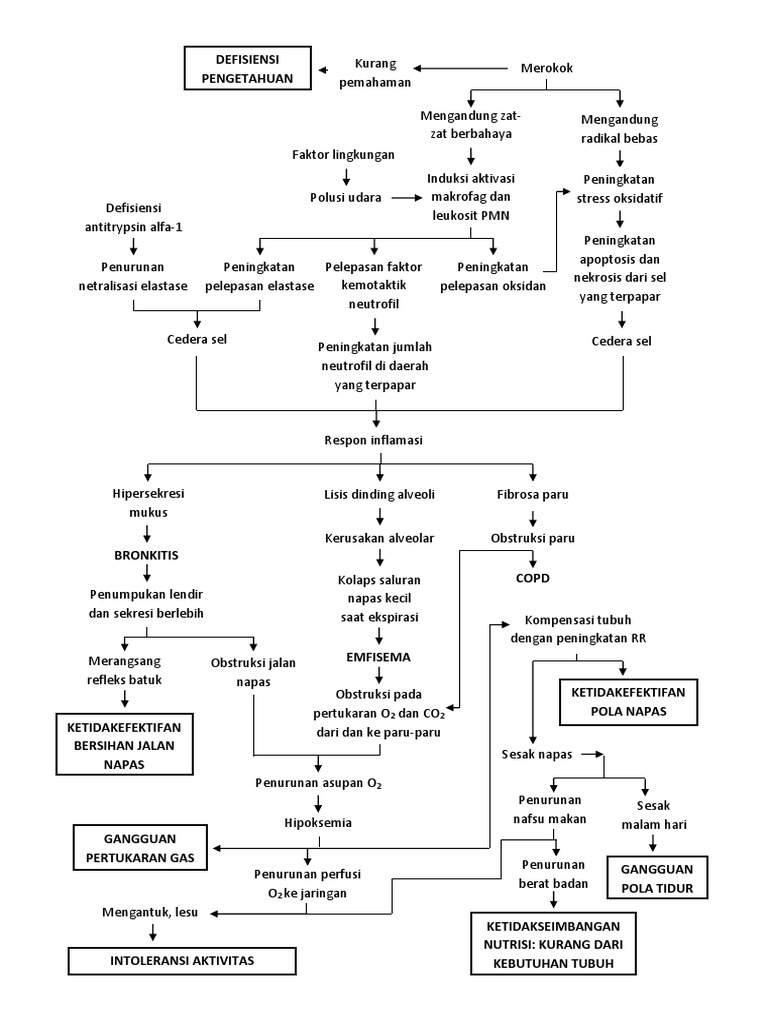 217396690-Pathway-COPD(1)
