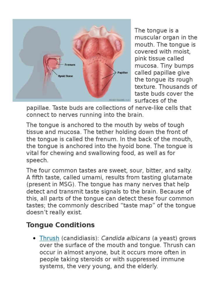 Science | PDF | Skin | Taste