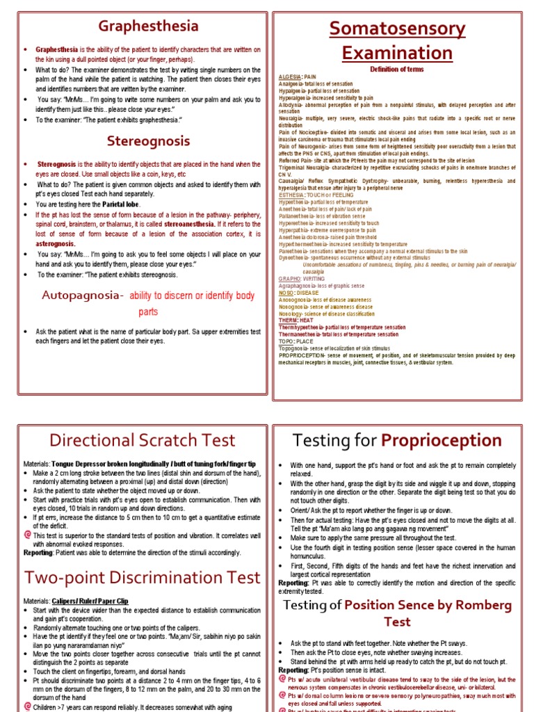 Sensory Examination | Senses | Pain