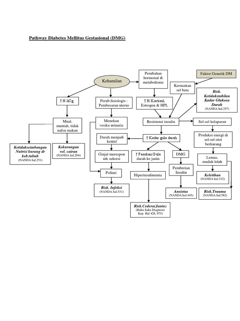 Pathway Diabetes Mellitus Gestasional