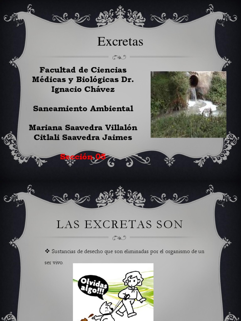 excretas.ppt | Letrina | Saneamiento