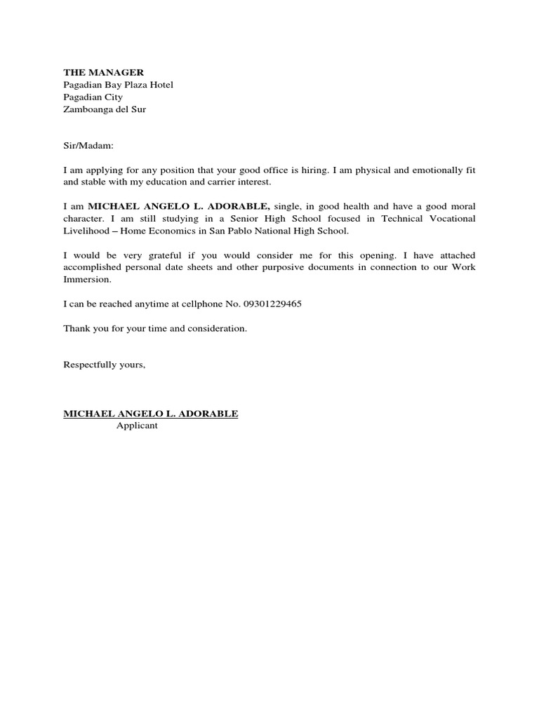 Application Work Immersion | PDF