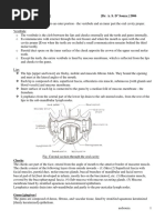 Anatomy of Oral Cavity | PDF | Tongue | Mouth