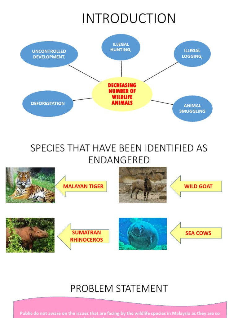 Illegal Hunting, Illegal Logging, Uncontrolled Development: Decreasing ...