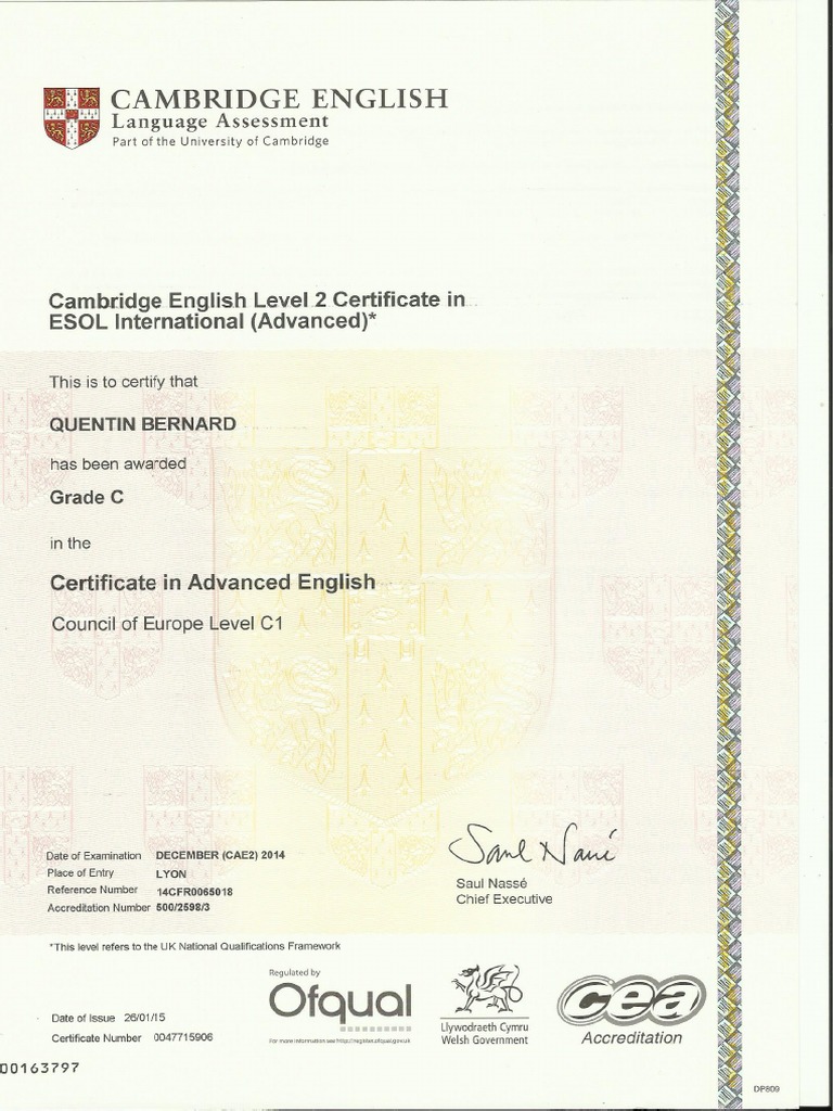 Certificate in Advanced English (CAE) - C1 Level - Quentin Bernard | PDF