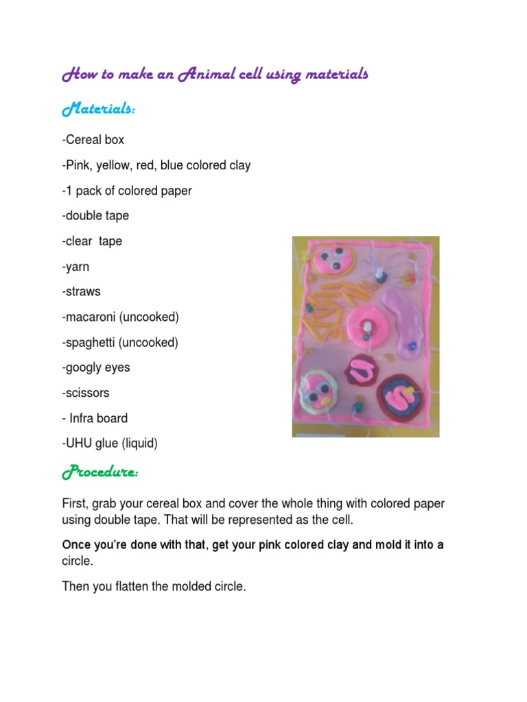 DIY Animal Cell for Students | PDF | Eukaryotes | Chloroplast