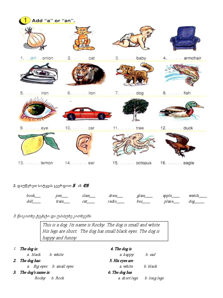 Plurals and Reading | PDF