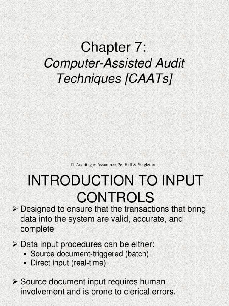 Chap07 - Computer-Assisted Auditing Tools and Techniques | PDF | Audit | Simulation