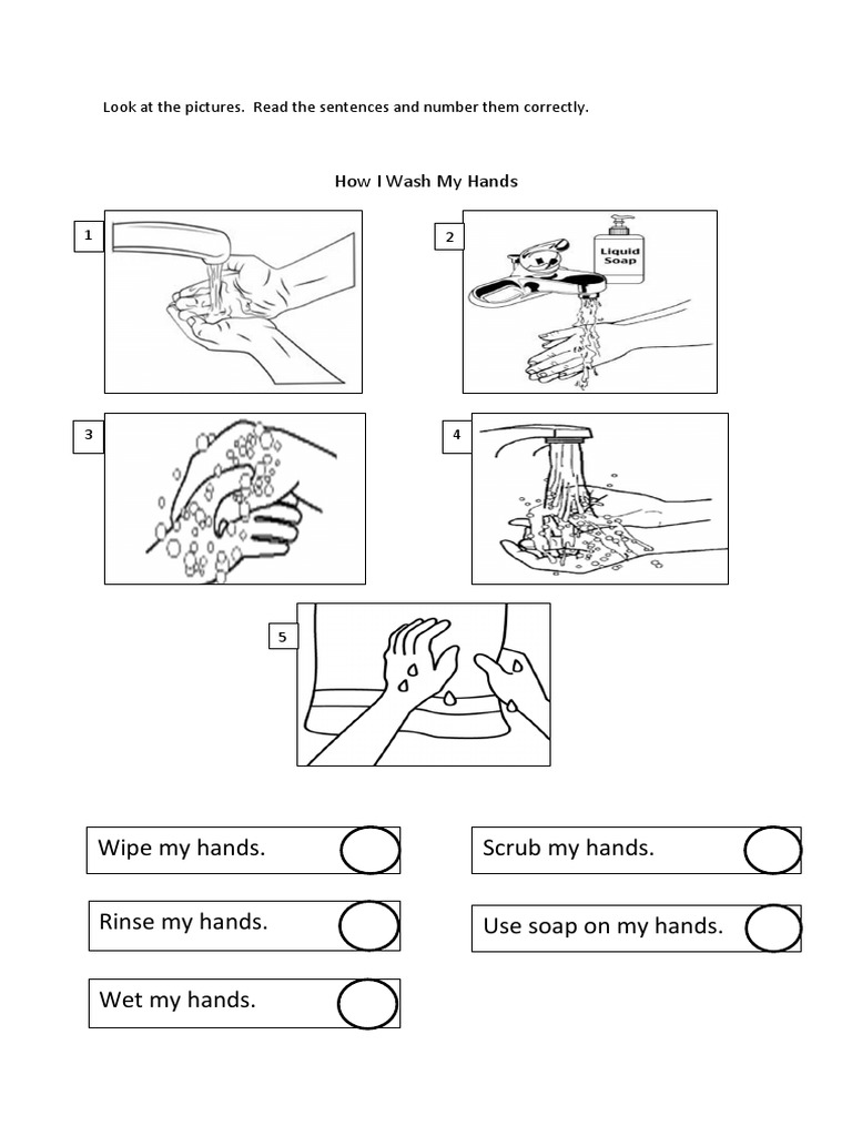 Worksheet How I Wash My Hands | PDF