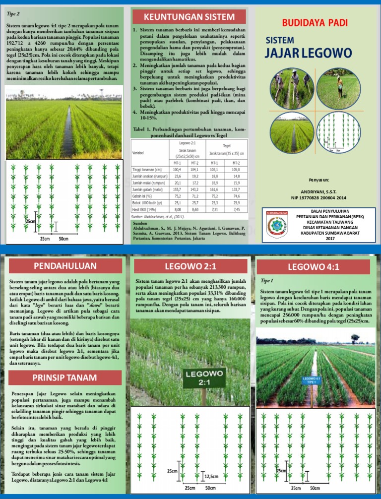 Leaflet Jajar Legowo | PDF