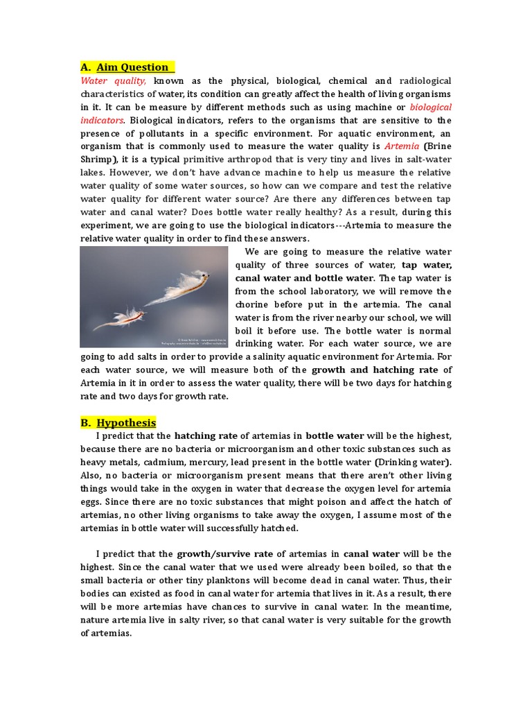 Water Quailty Lab | PDF | Water Quality | Water Purification
