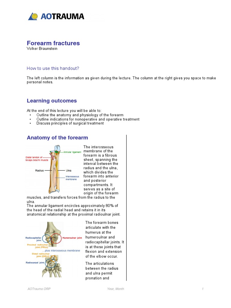 FSP ORP Handout English Forearm Fractures Final-3 | PDF | Anatomical ...