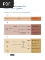 AOS - Injury - Classification - Pocket - Card SUBAXIAL | PDF | Vertebra ...