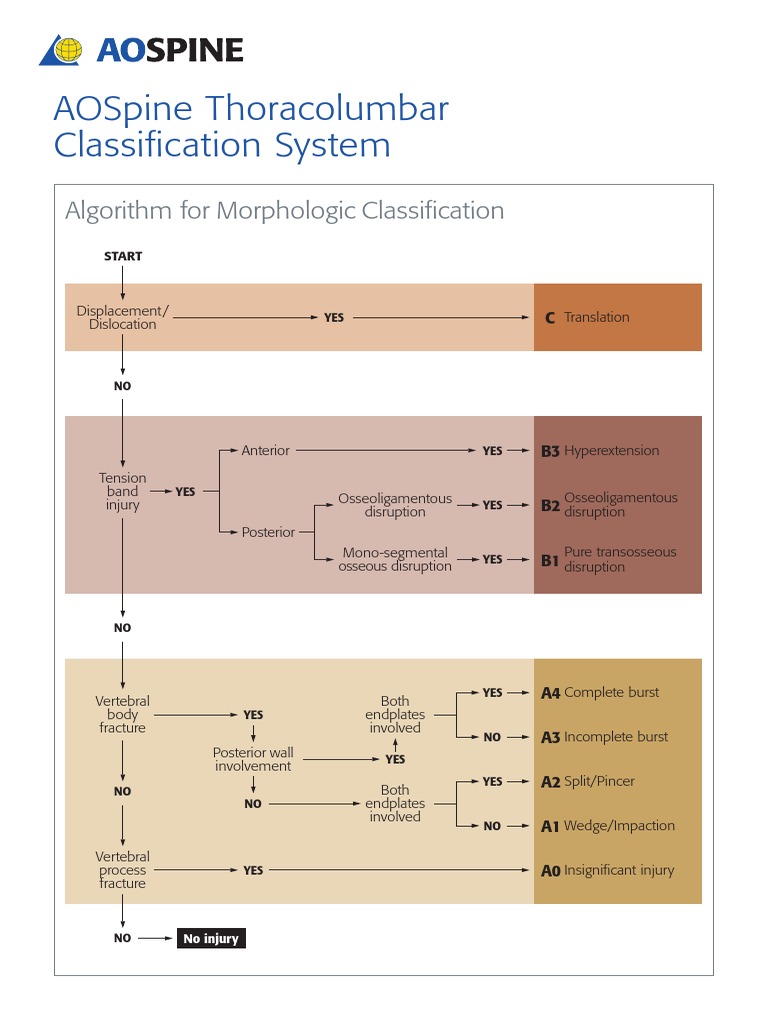 AOSpine Thoracolumbar Injury Classification | PDF | Vertebral Column ...