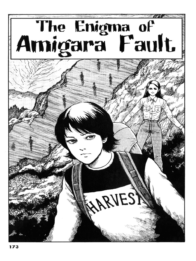 The Enigma of Amigara Fault | PDF